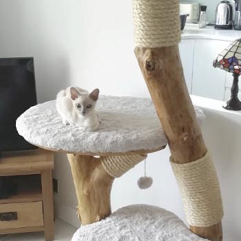 Handcrafted Wooden Bespoke Cat Tree UK, Sophisticated Scratching Post