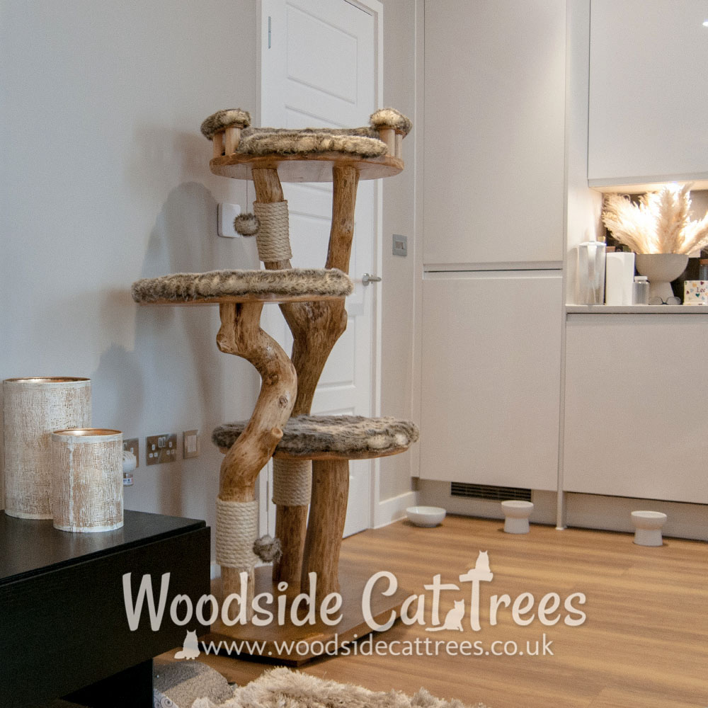 Bespoke Luxury Wooden Cat Trees & Cat Furniture