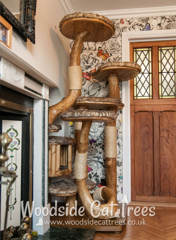 Woodside Cat Trees Cat Furniture Creations Gallery
