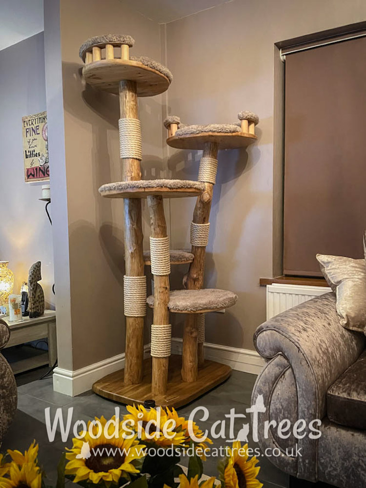 Woodside Cat Trees Cat Furniture Creations Gallery