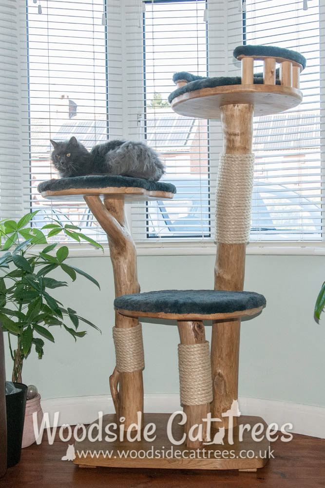 Woodside Cat Trees Cat Furniture Creations Gallery