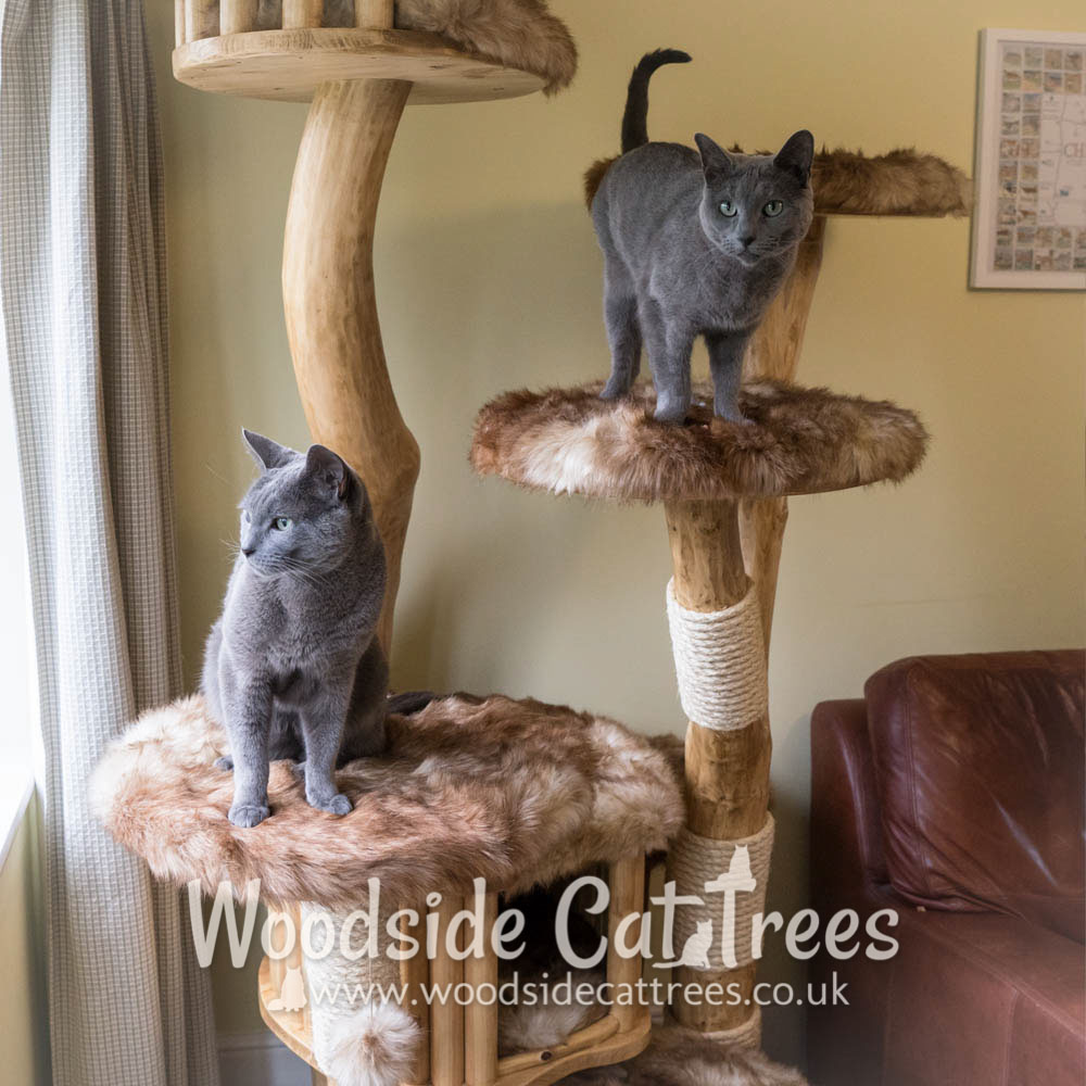 Woodside Cat Trees Cat Furniture Creations Gallery