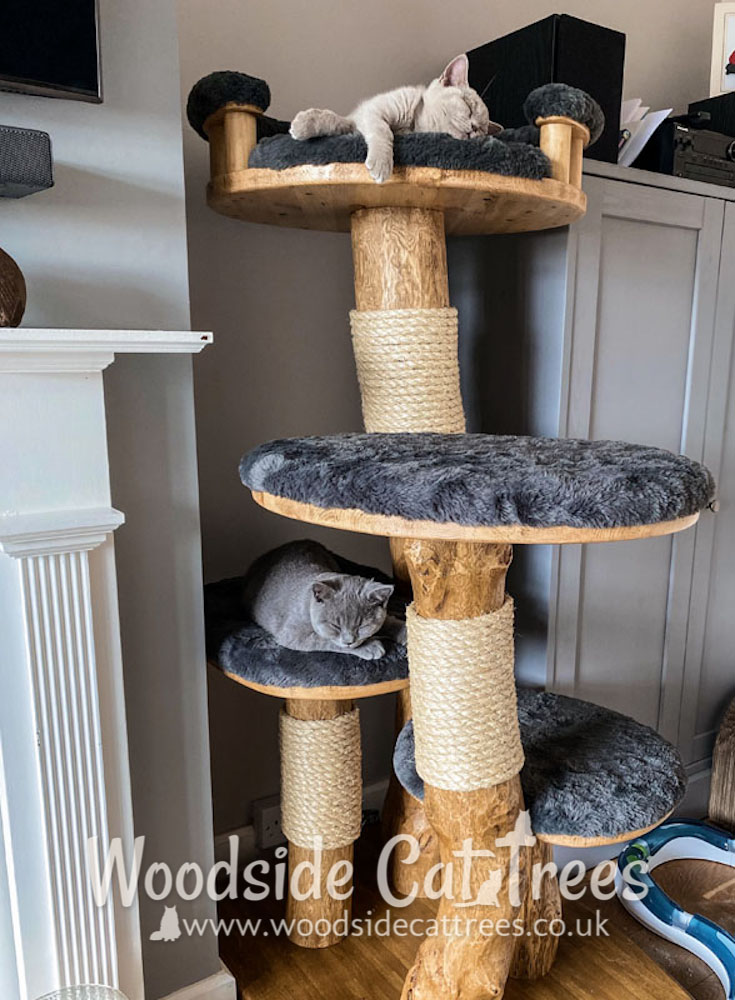 Woodside Cat Trees Cat Furniture Creations Gallery