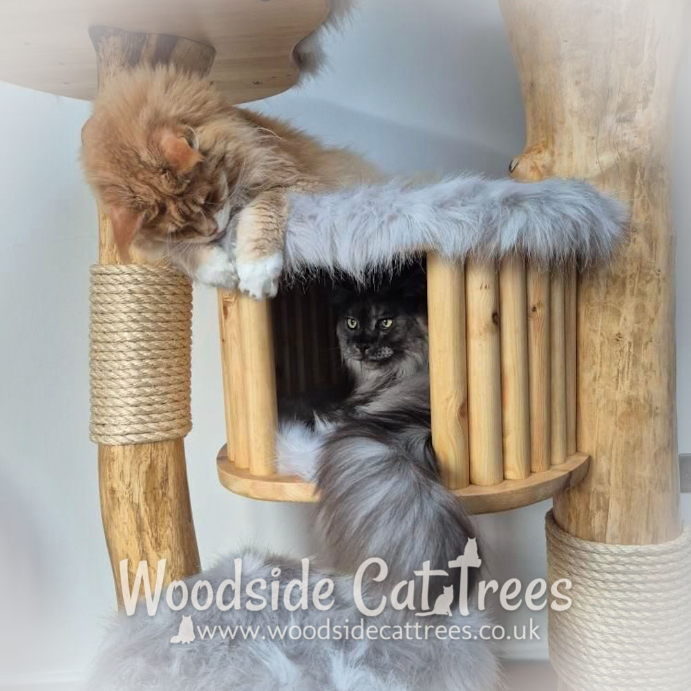Woodside Cat Trees Cat Furniture Creations Gallery