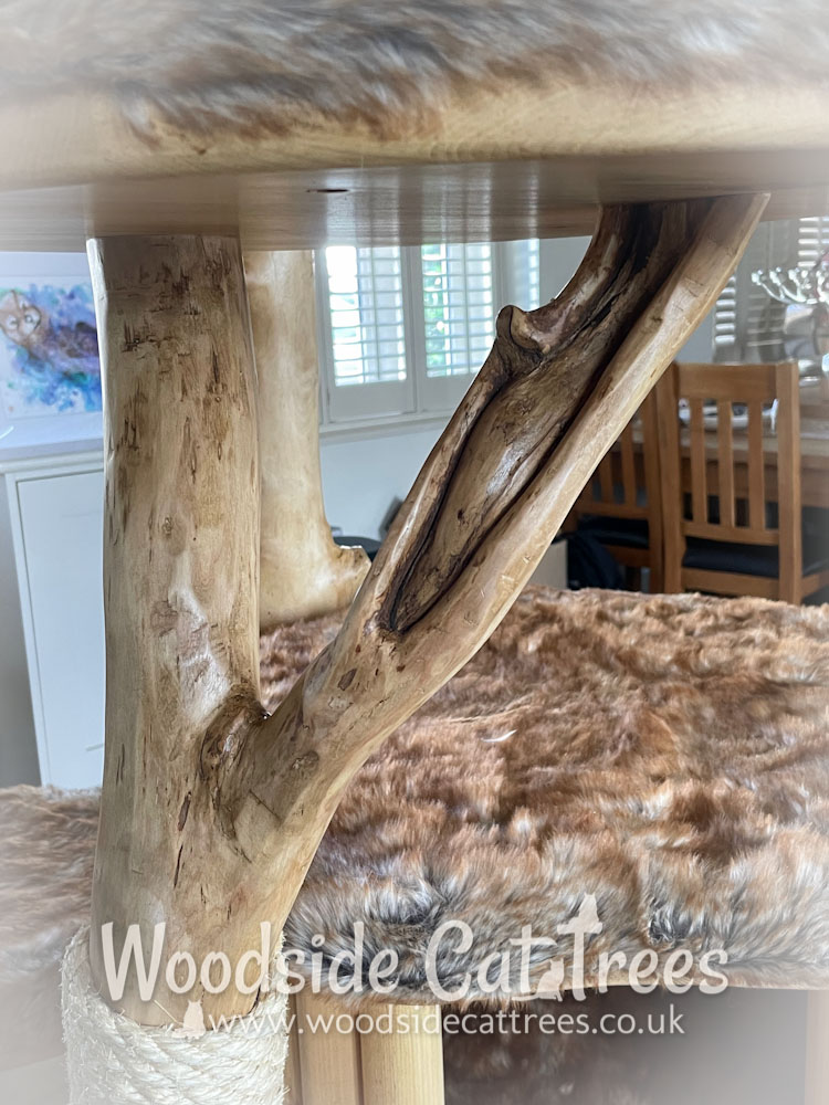 Woodside Cat Trees Cat Furniture Creations Gallery