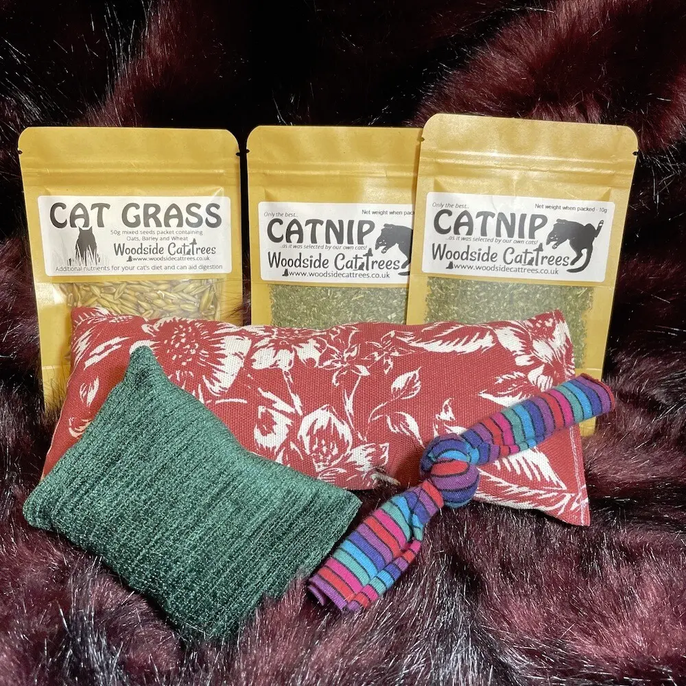 Kitty Gift Selection Pack - Cat gift box